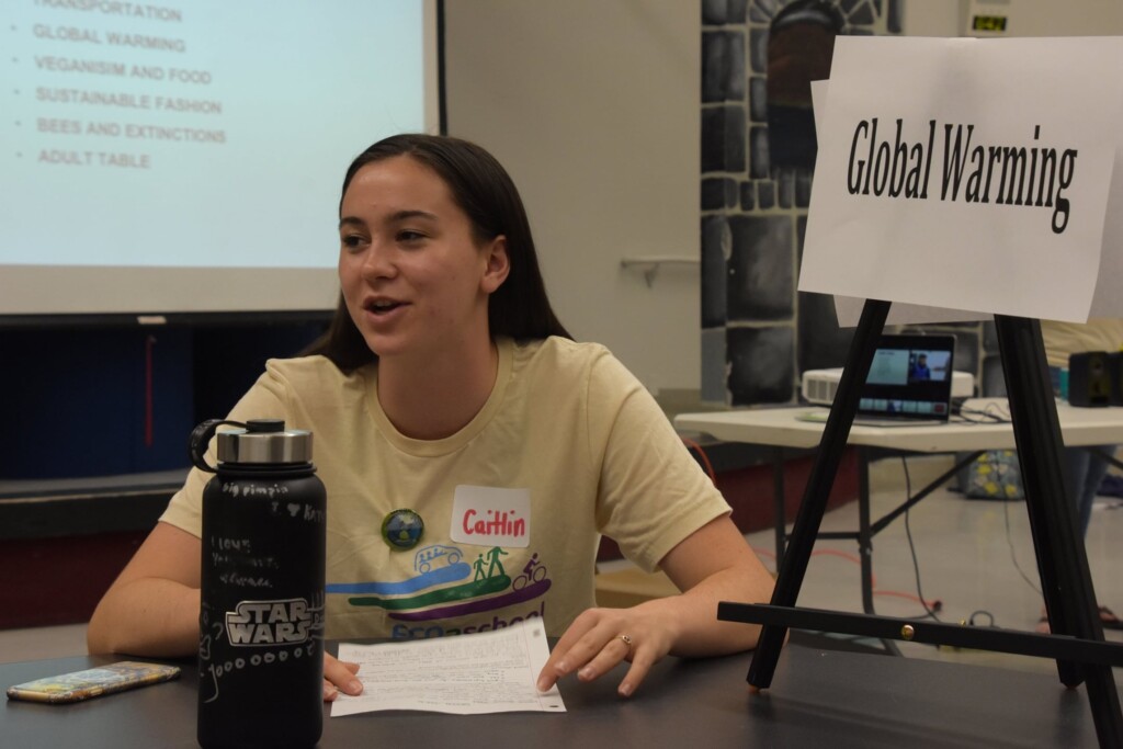 Political activism, clean commuting, community design, zero waste, and ...