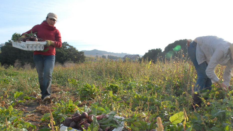 Cap-and-trade is failing to provide adequate funding to California ...