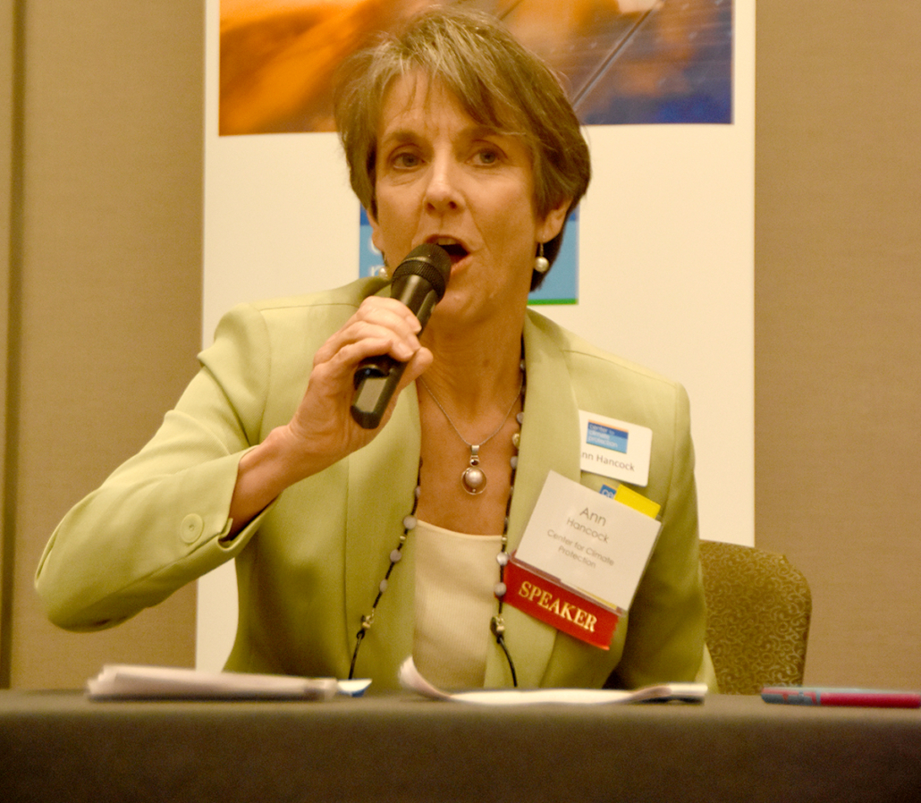 Ann Hancock stepping down after two decades of extraordinary climate ...