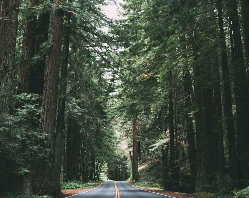 Take Action - The Climate Center