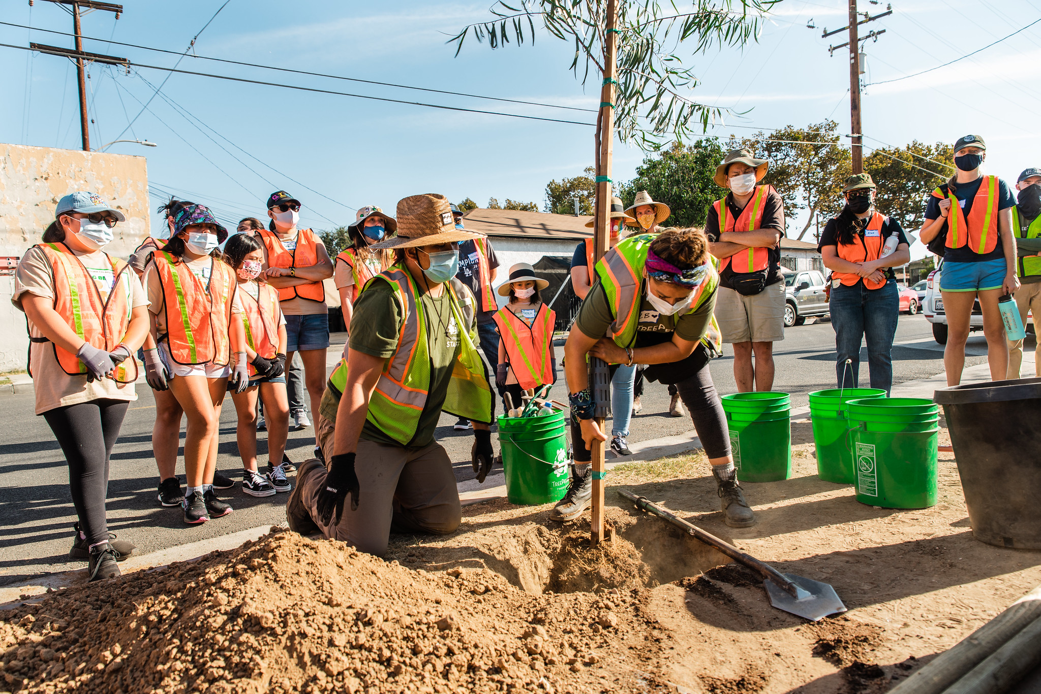 We passed a natural carbon sequestration law — now what? - The Climate ...
