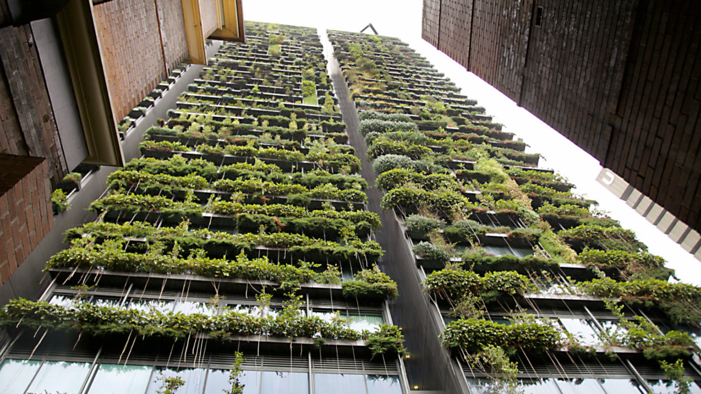 Green building by Canva - The Climate Center