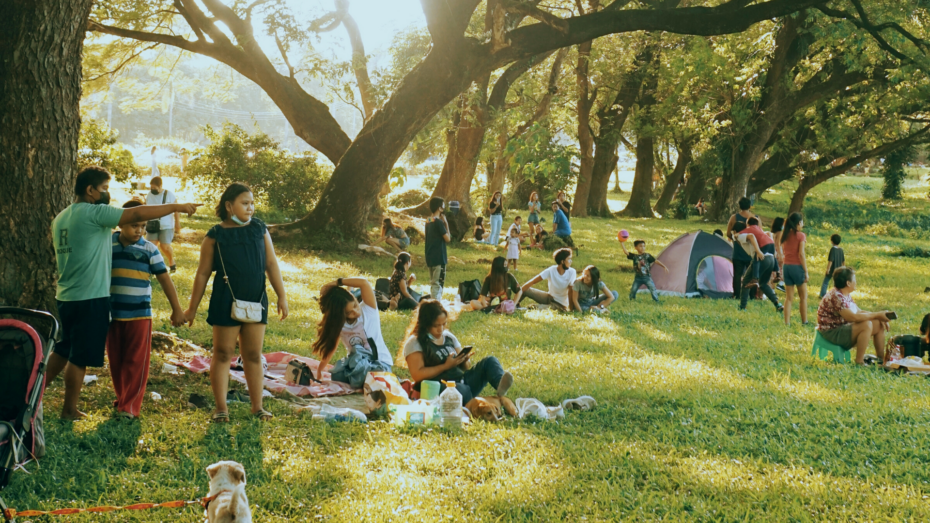 AB 1573 (Friedman) Water conservation: Landscape design model ordinance ...