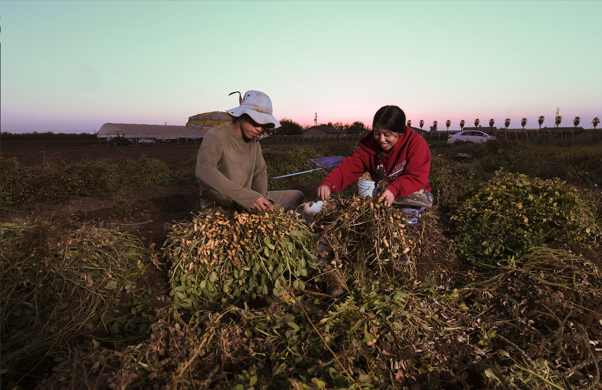 Singer Farmers new - The Climate Center