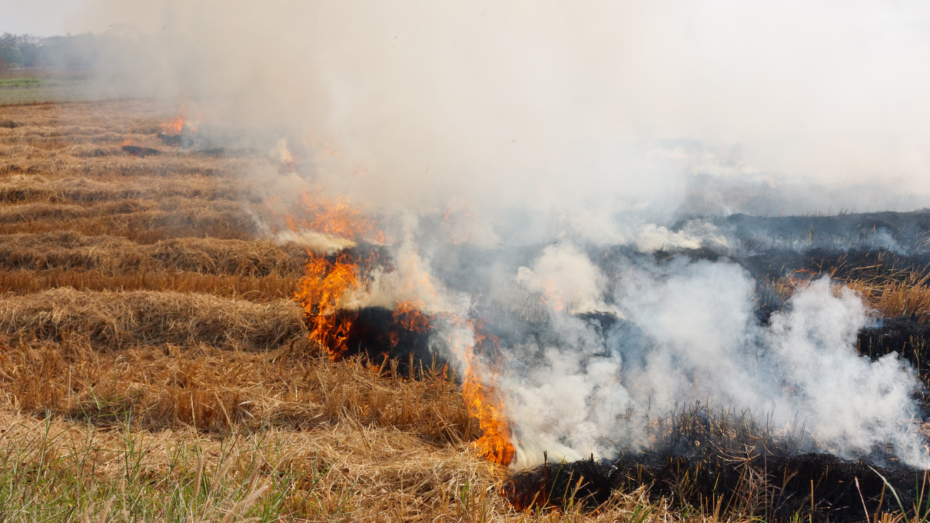 SB 1101 (Limón) Beneficial Fire - The Climate Center