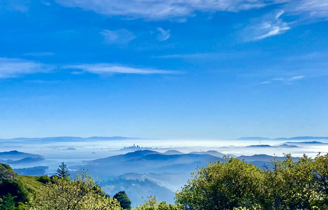 Join Our Leadership Circle - The Climate Center